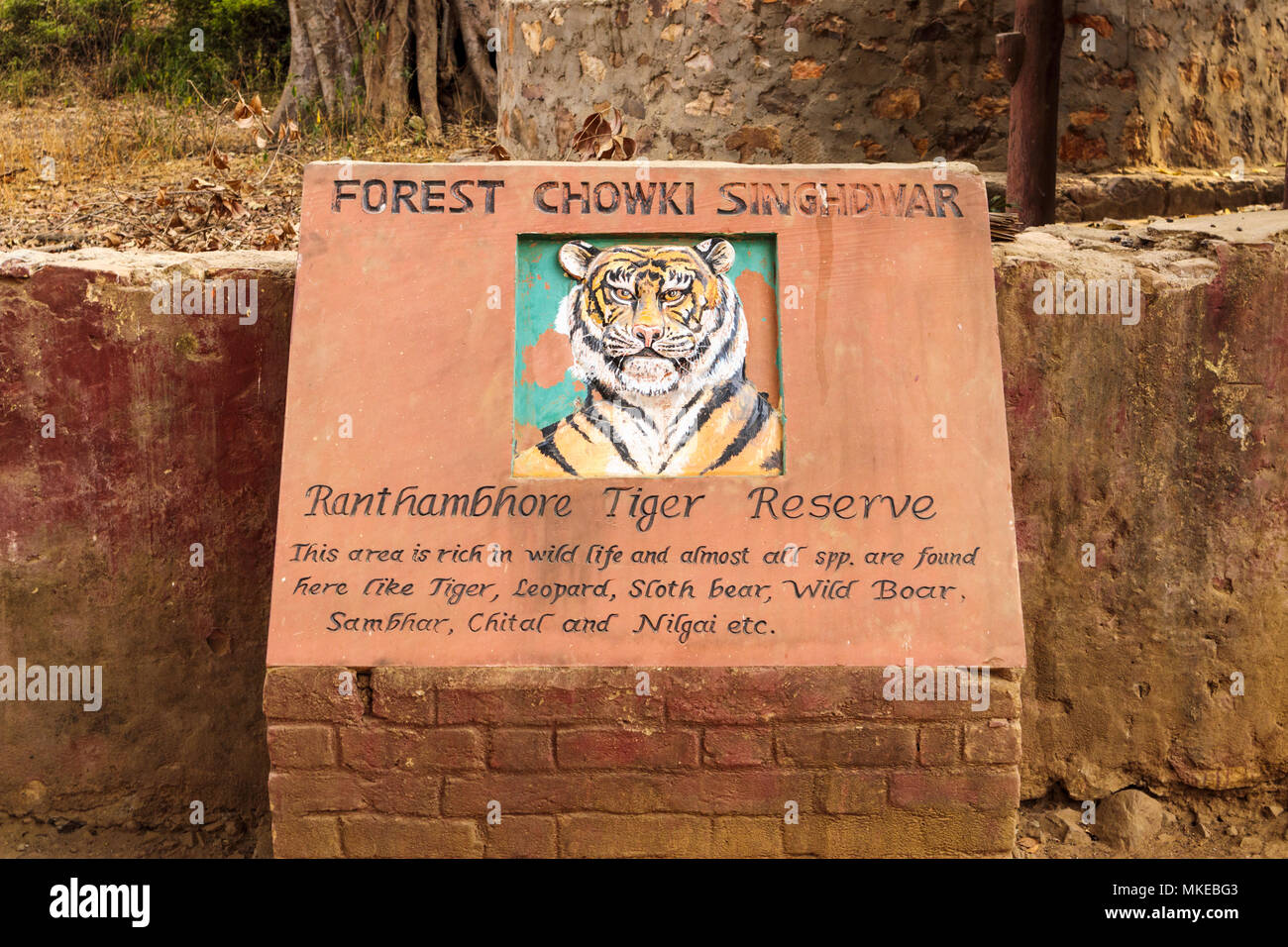 Tiger sanctuary hi-res stock photography and images - Alamy