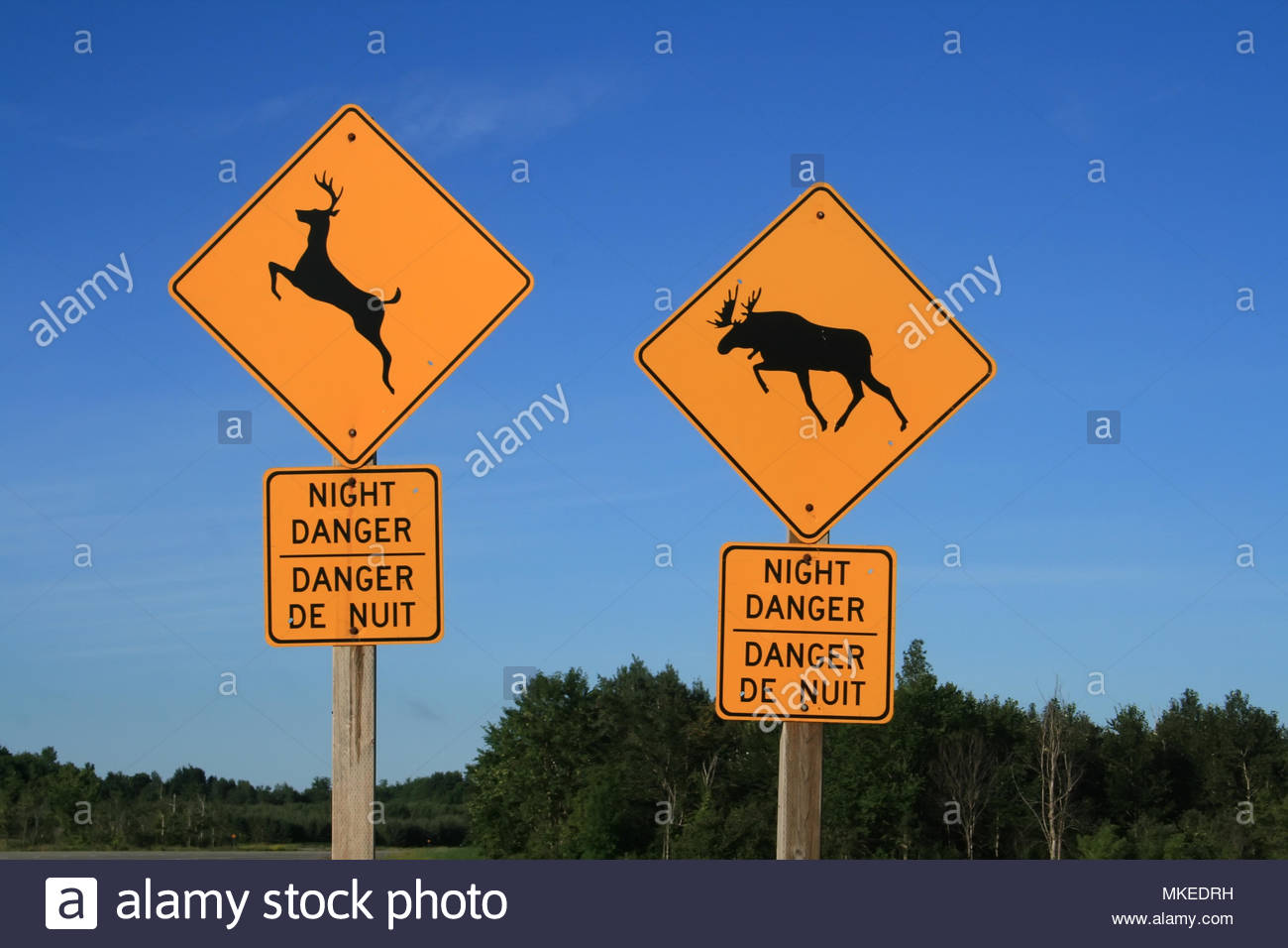 Moose Crossing Signs High Resolution Stock Photography and Images - Alamy