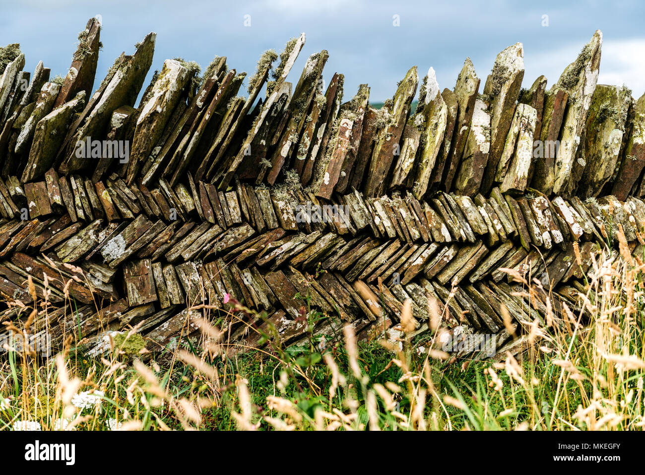 Cornish dry stone wall hi-res stock photography and images - Alamy