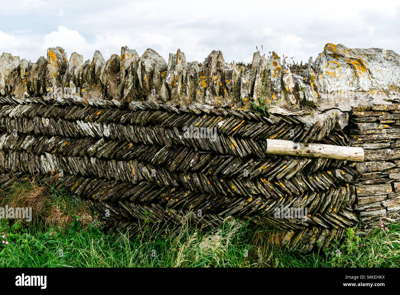 Cornish dry stone wall hi-res stock photography and images - Alamy