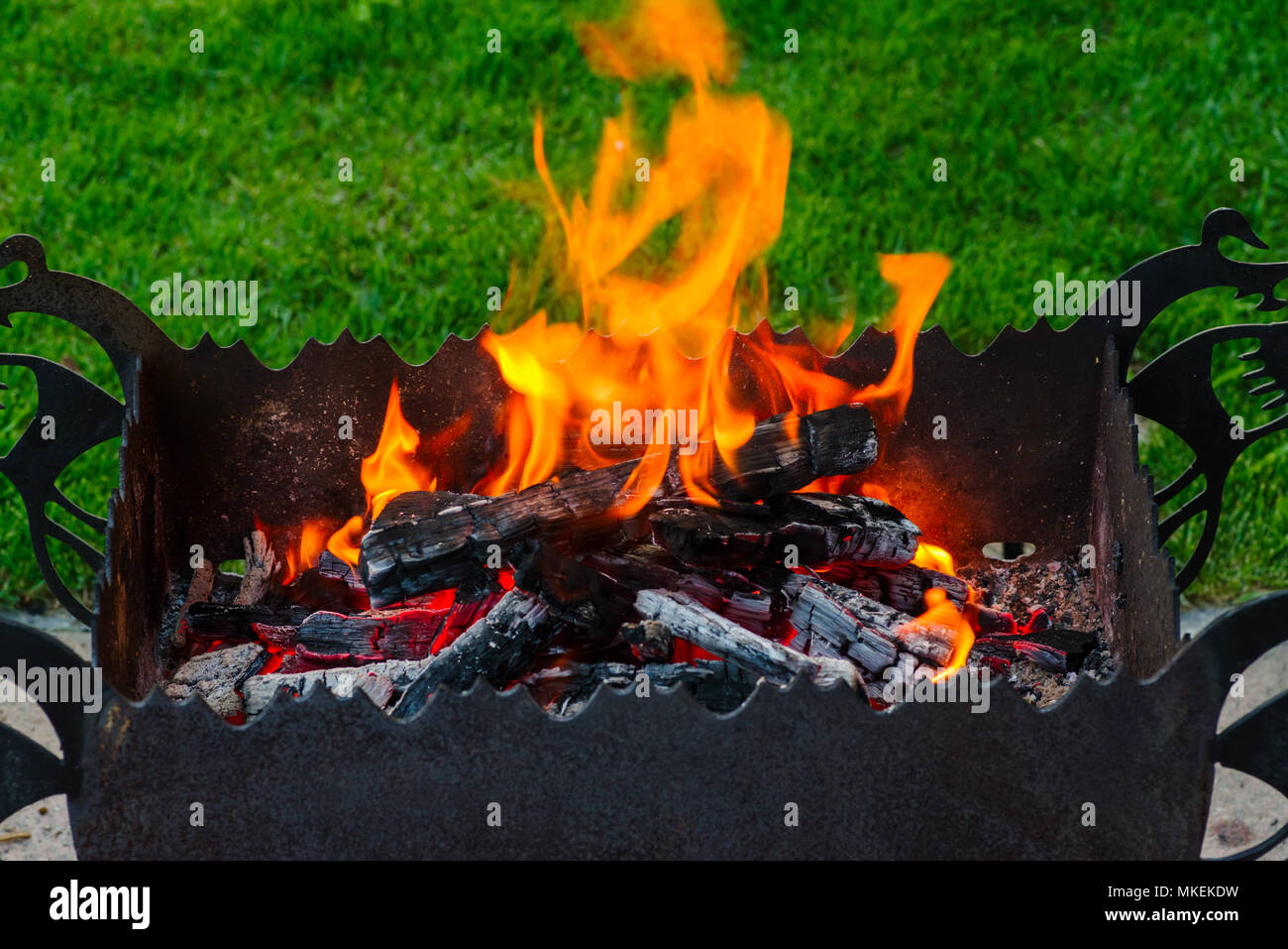 Bright fire of burning logs in the grill Stock Photo - Alamy