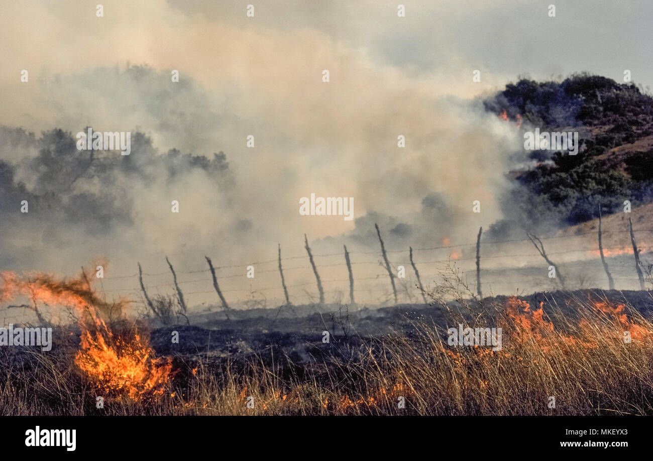 An uncontrolled wildfire burns dry brush and other scrub vegetation and ...
