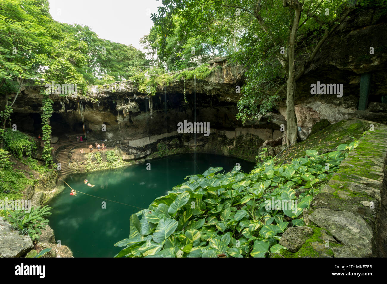 Cenote is a natural sinkhole, resulting from the collapse of limestone ...