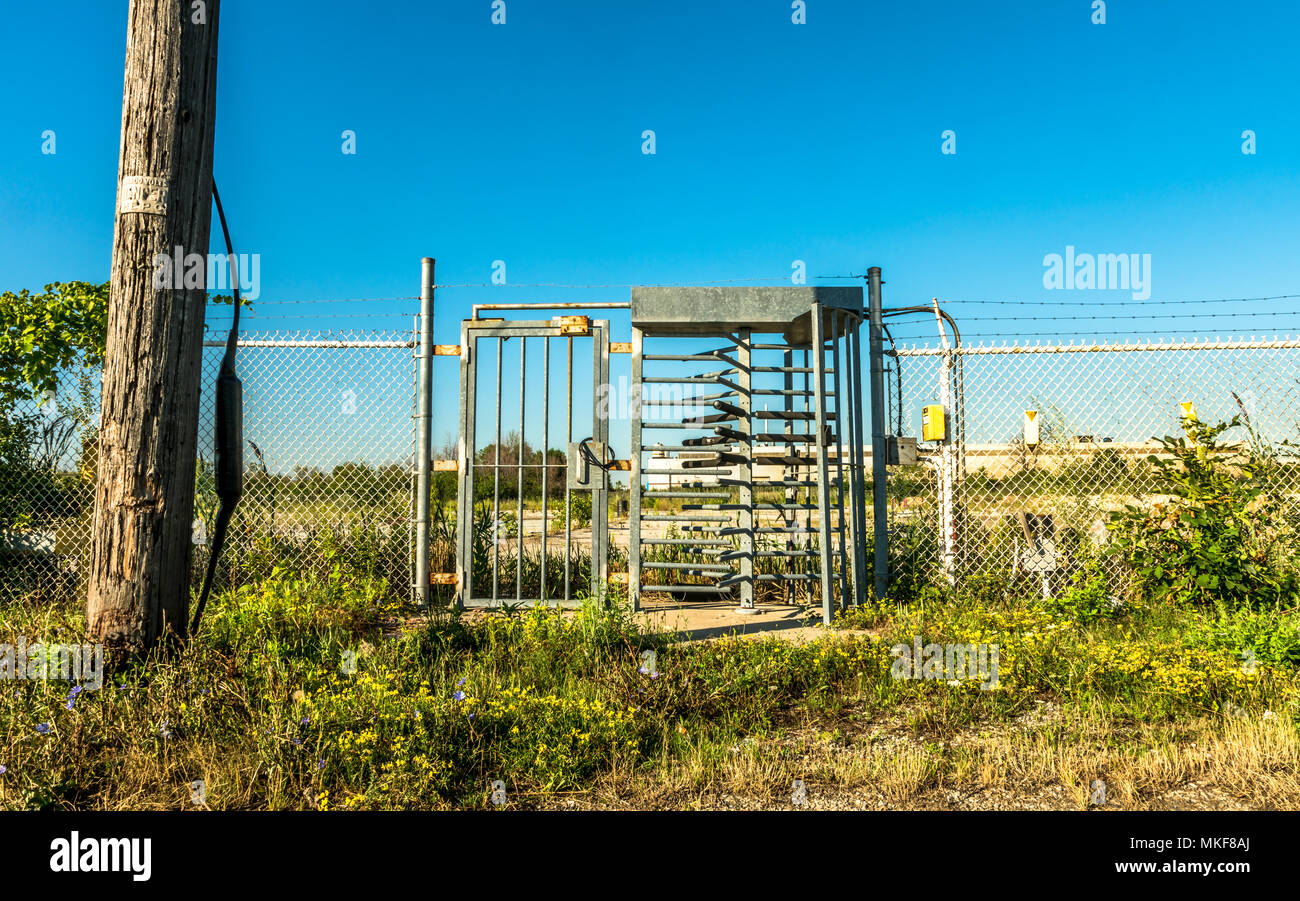 Frog gate hi-res stock photography and images - Alamy