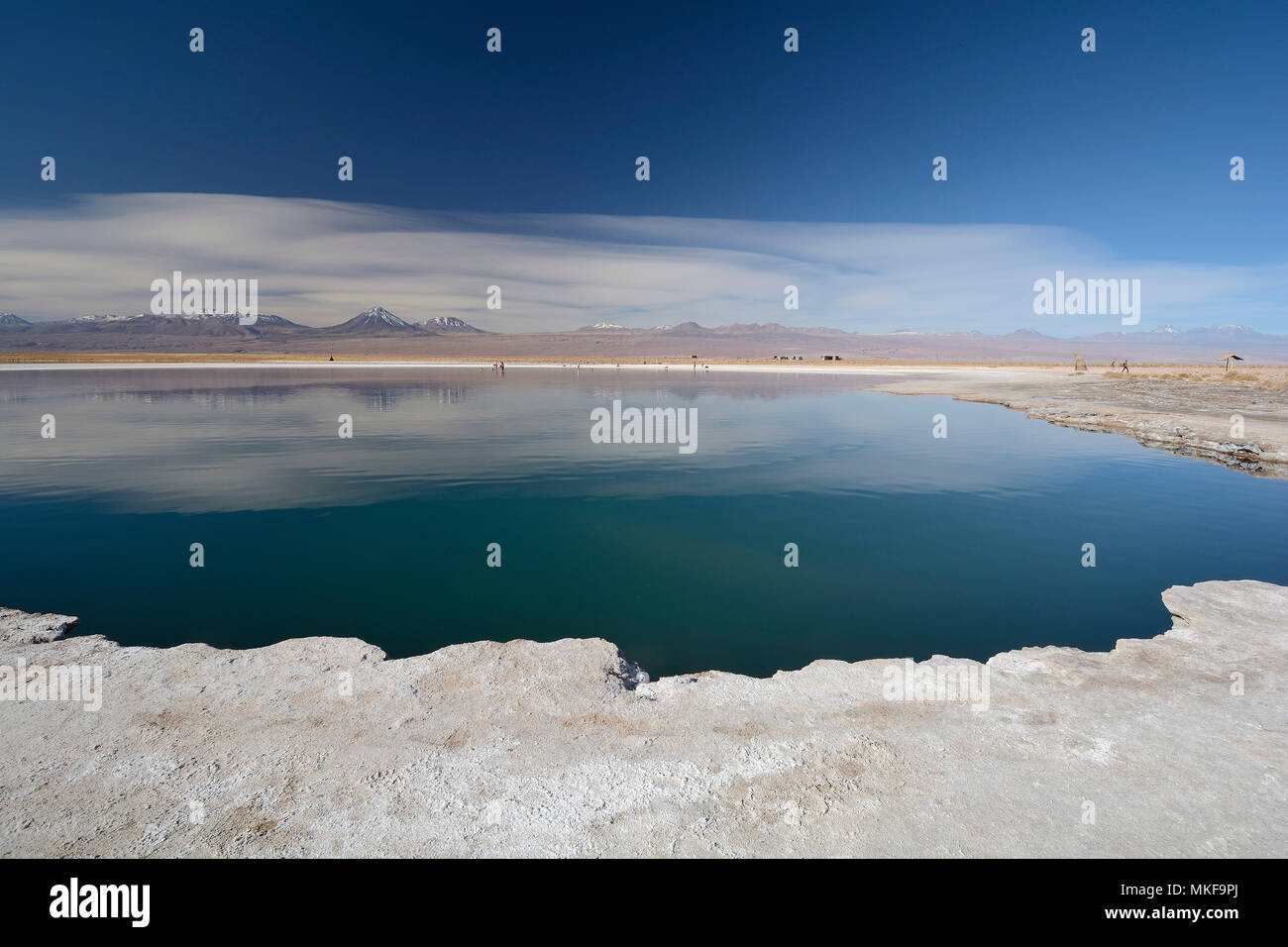 Laguna Cejar, Salar de Atacama, near San Pedro de Atacama, II ...