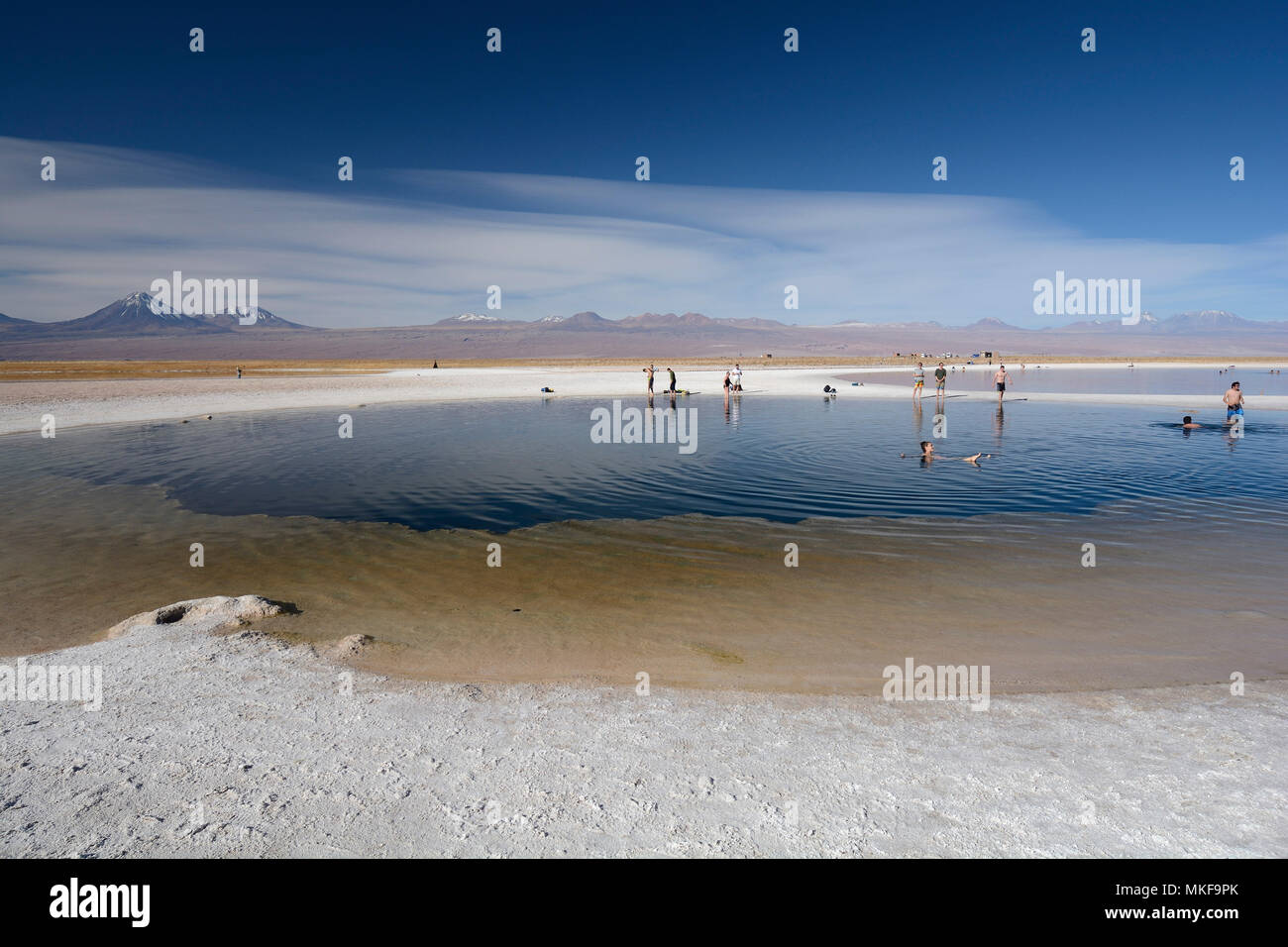 Laguna Cejar, Salar de Atacama, near San Pedro de Atacama, II ...
