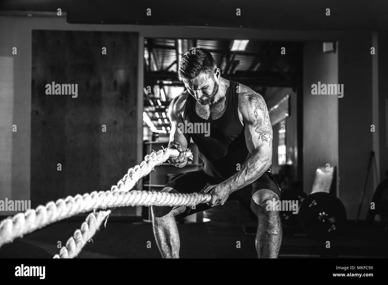 Muscular powerful aggressive man training with rope in functional ...