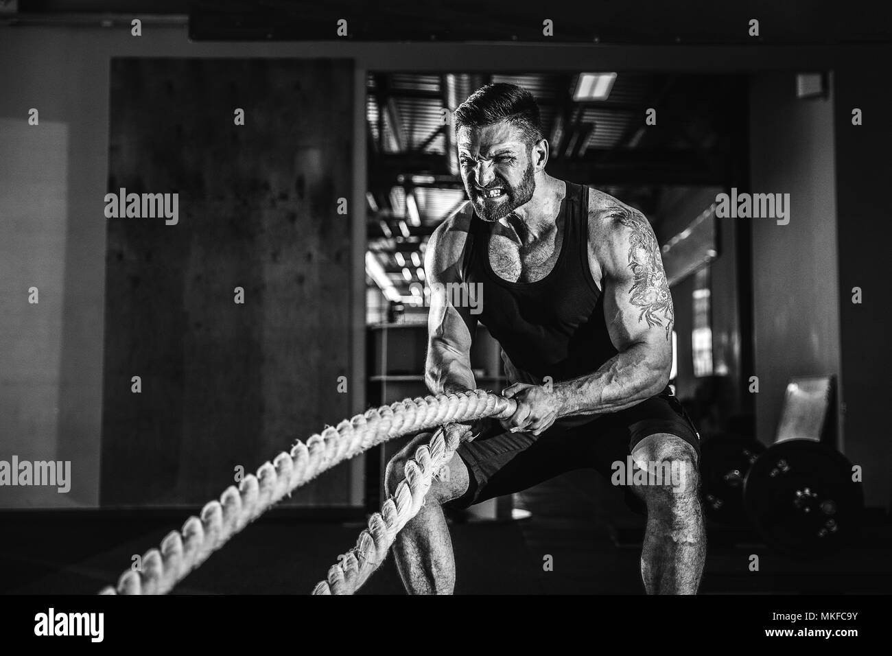Muscular powerful aggressive man training with rope in functional ...