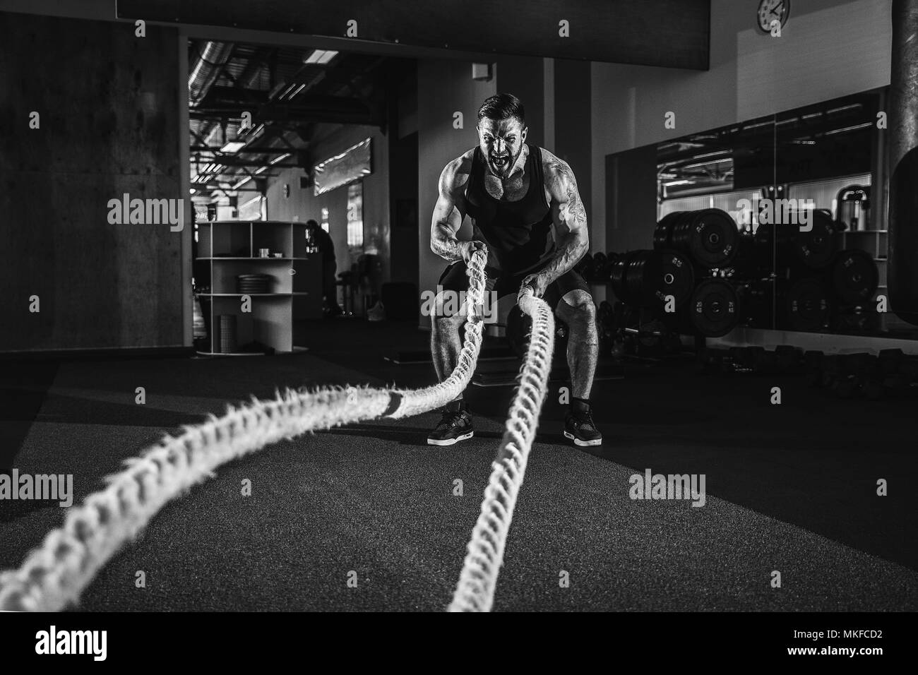 Muscular powerful aggressive man training with rope in functional ...