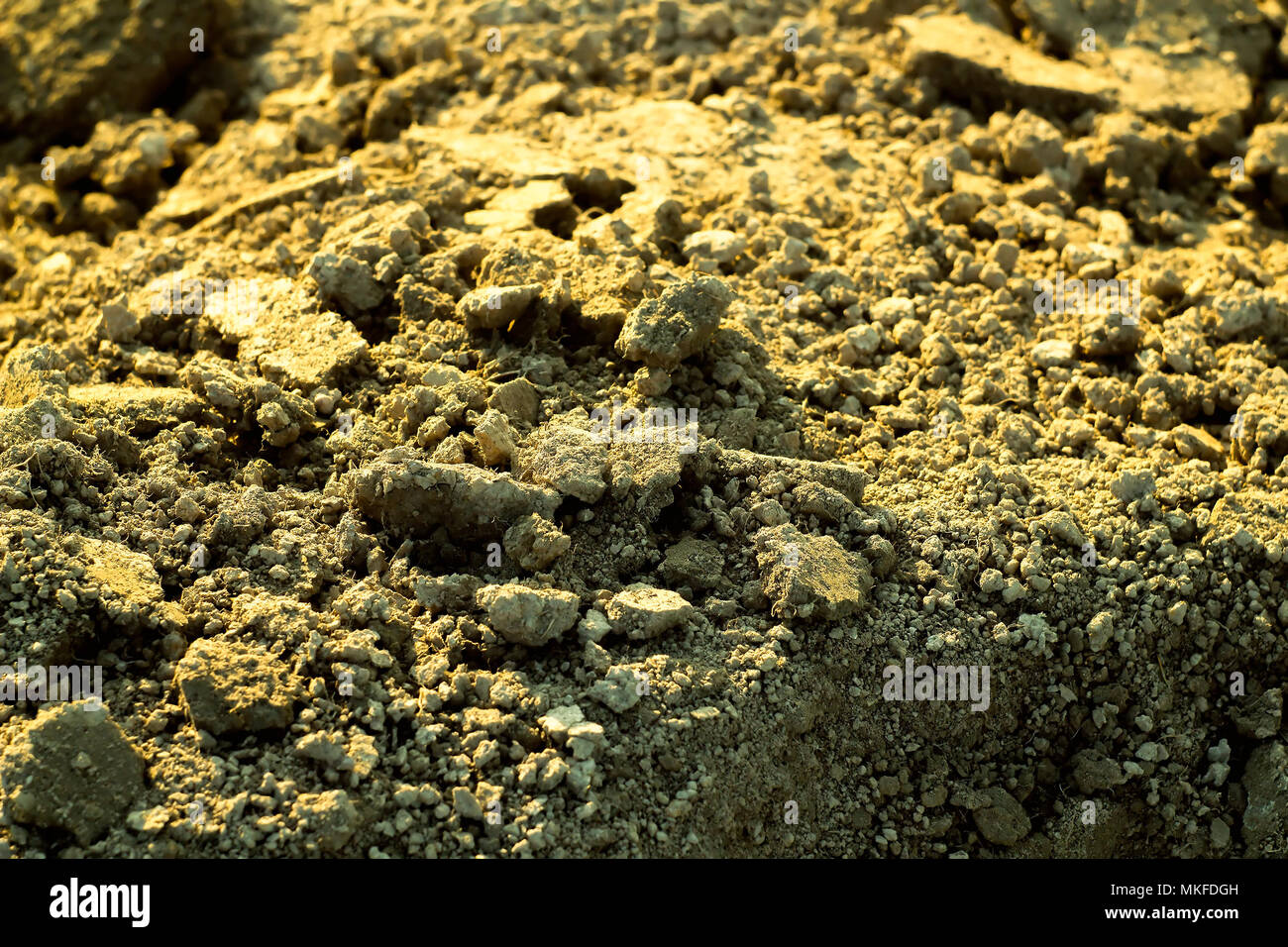 Preparing the soil hi-res stock photography and images - Alamy