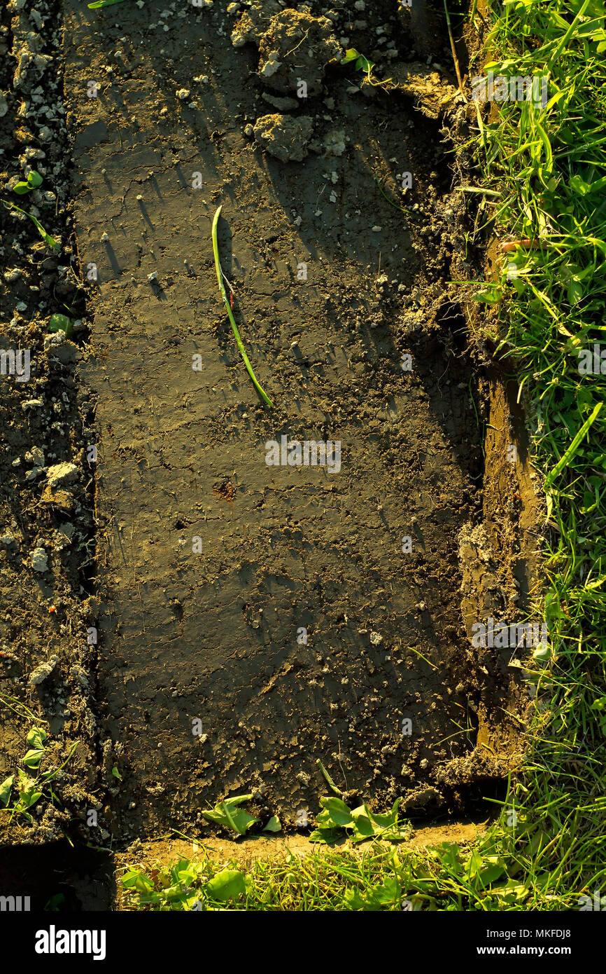 Leveling the ground in the garden Stock Photo - Alamy