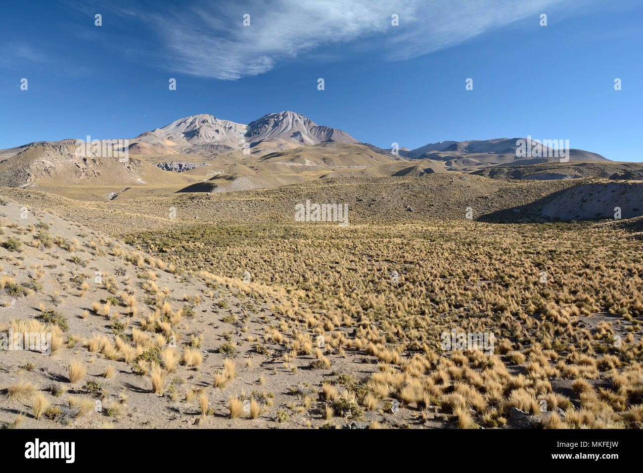 The puna and volcano Taapacá, surroundings of Putre, Parque nacional ...