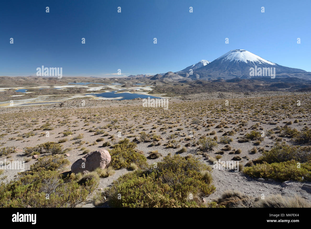 Parinacota Volcano and Pomerape Volcano at the back, Laguna de ...