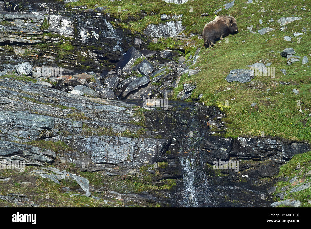Labrador peninsula hi-res stock photography and images - Alamy