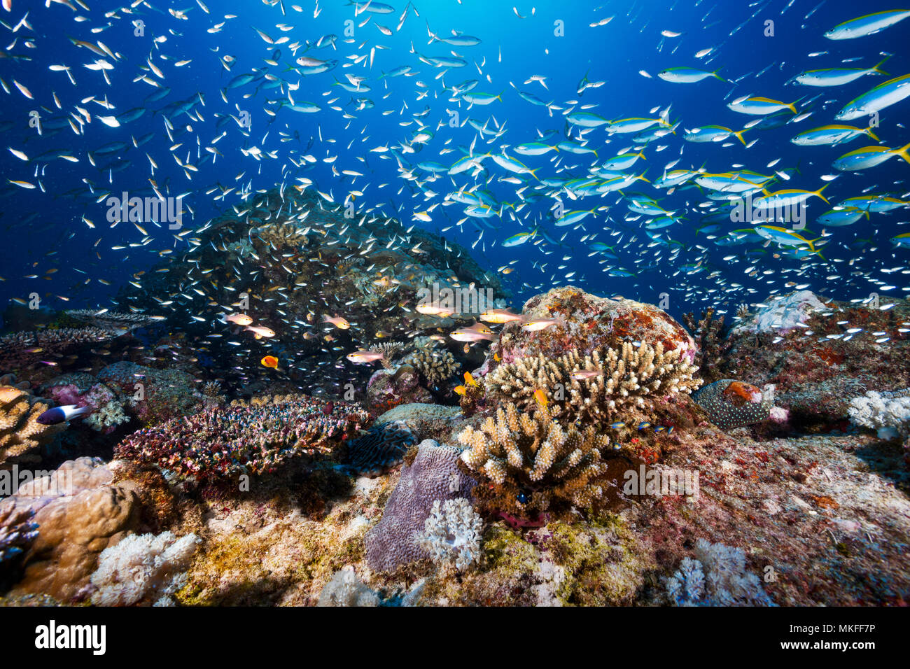 Comoros islands overview hi-res stock photography and images - Alamy