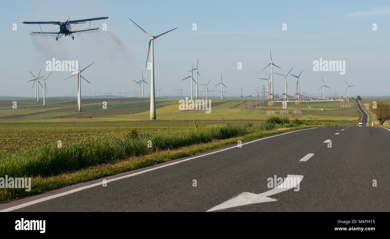 Field of wind turbines in intensive cereal crops, Danube Delta, Romania ...