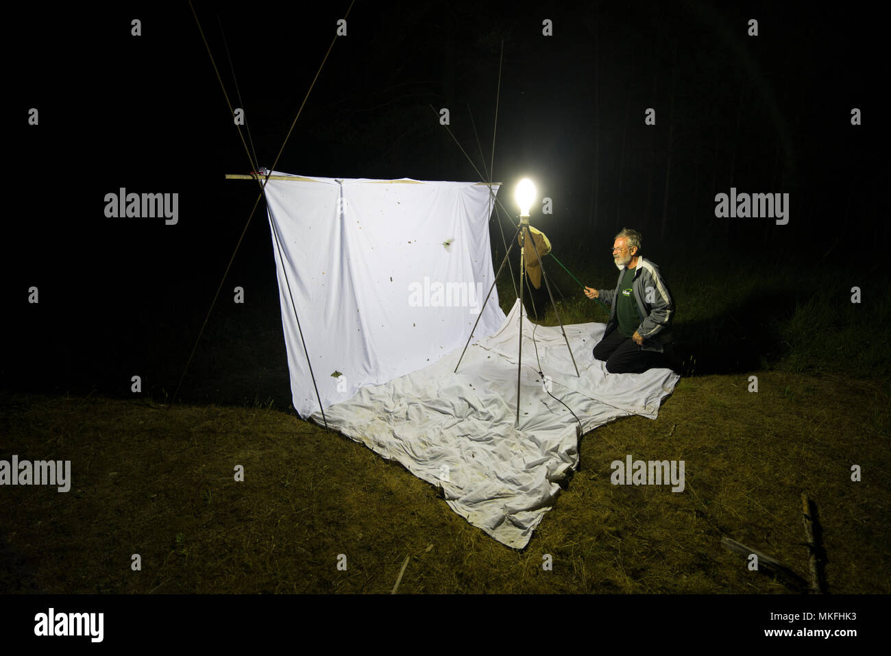 Moth trap night hi-res stock photography and images - Alamy