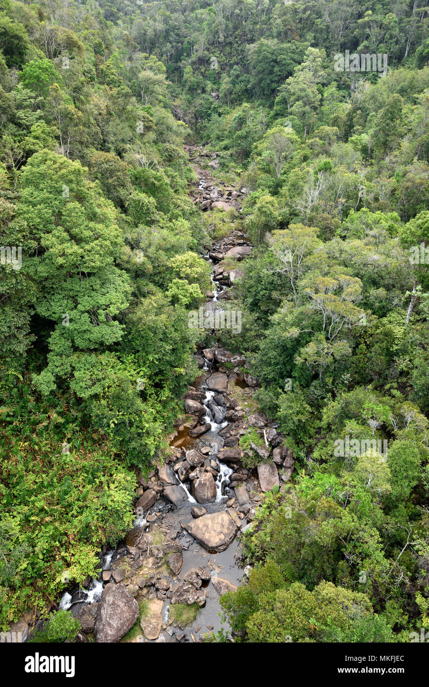 Tropical rainforest of eastern Madagascar seen from above, Andasibe ...