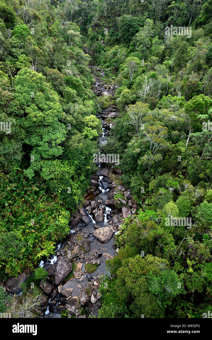 Tropical rainforest of eastern Madagascar seen from above, Andasibe ...