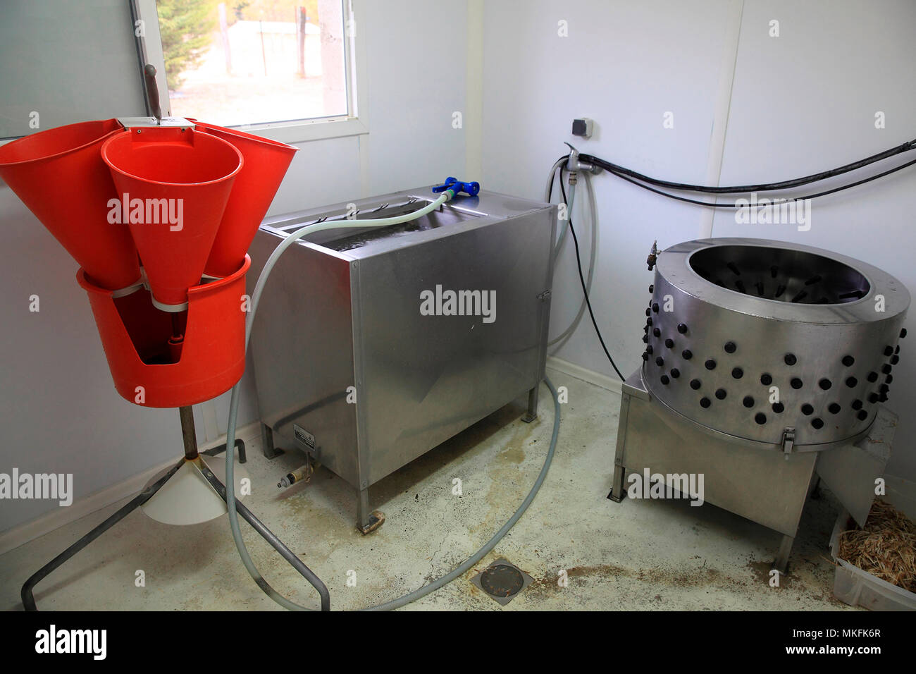 Laboratory for slaughtering organic poultry, Provence, France Stock ...