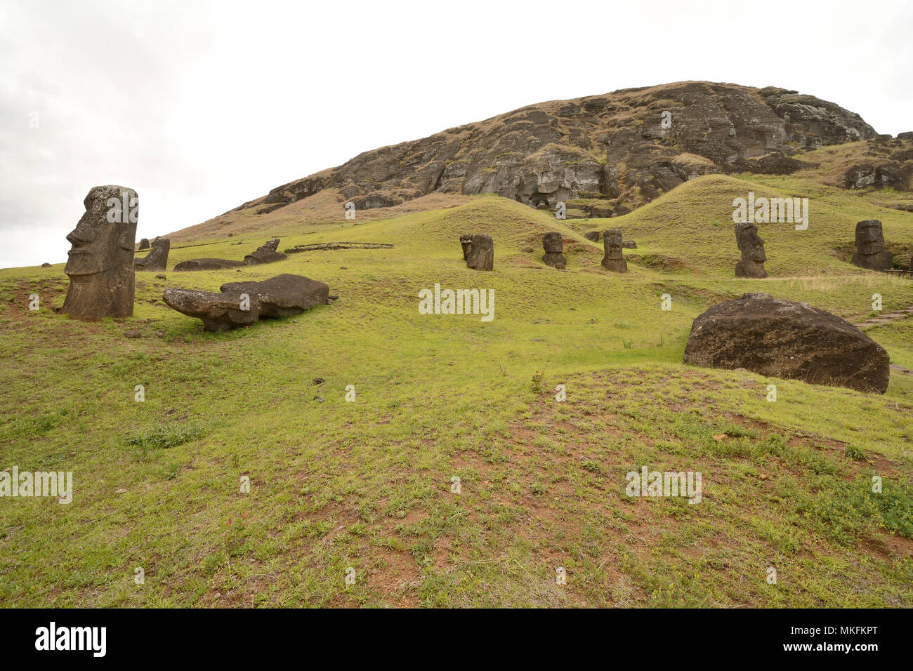 Moai statue overview hi-res stock photography and images - Alamy