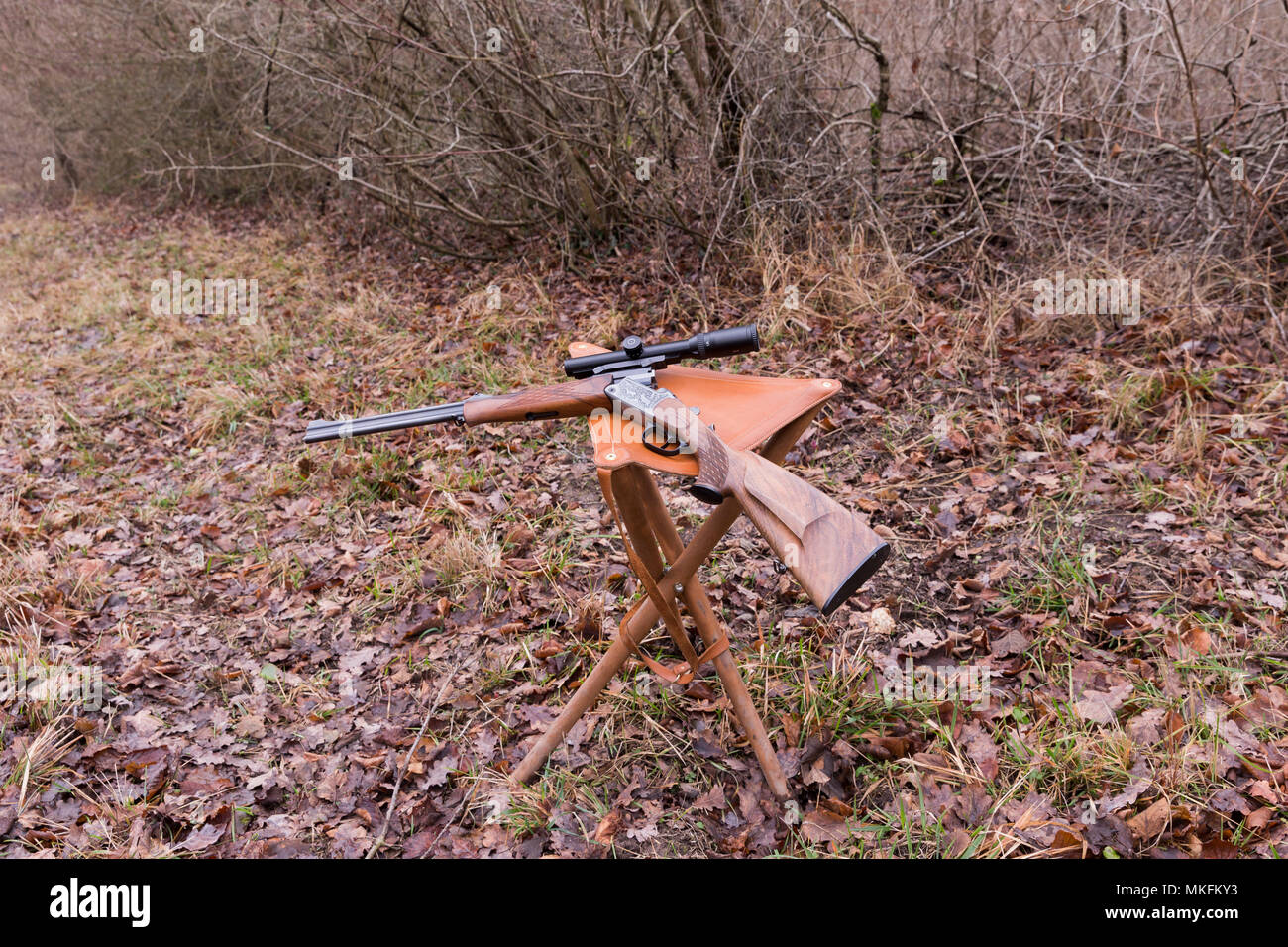 Hunting big game, Hunting station with stool and weapon, Rhine forest ...