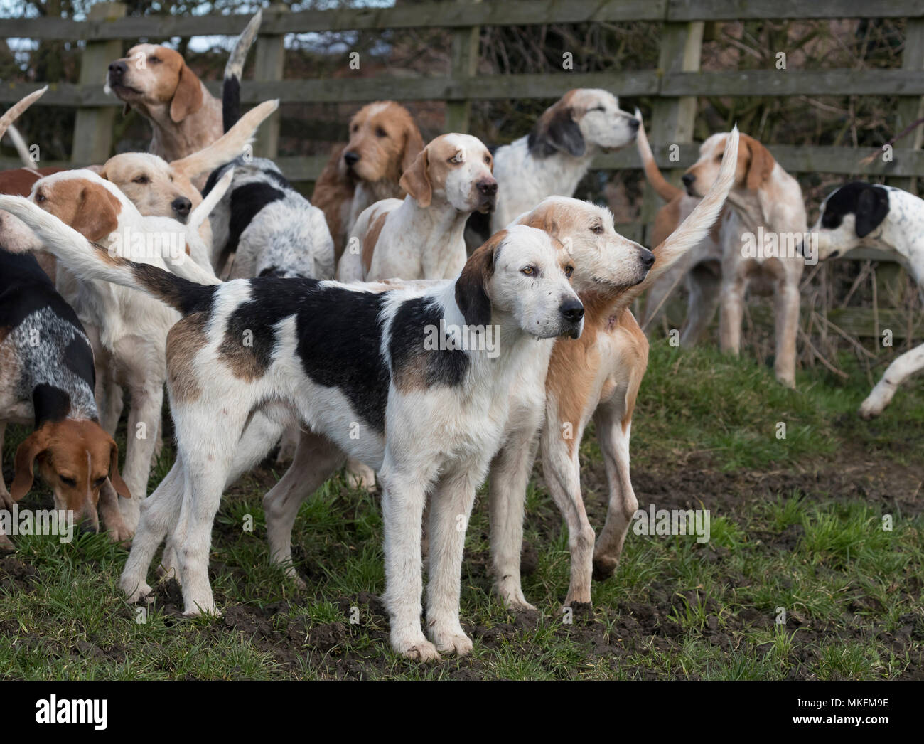 Individual plot hi-res stock photography and images - Alamy