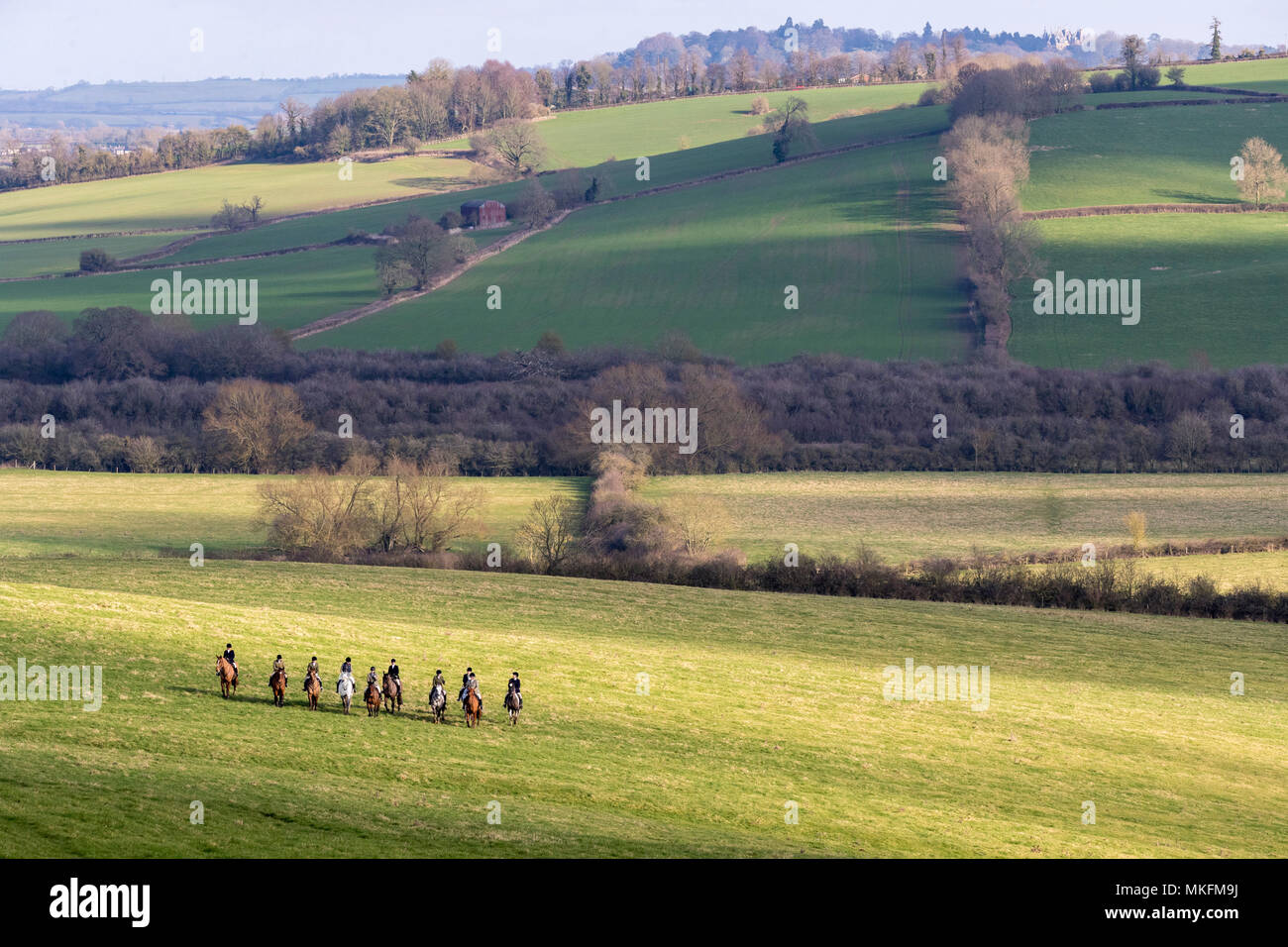 Fox hunting, Riders in the British countryside, England, Winter Stock ...