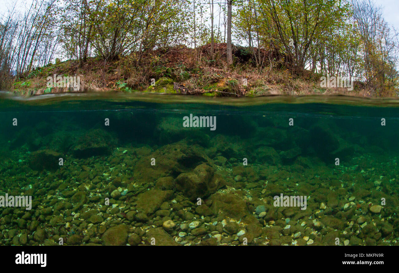 Underwater landscape, in mid-air photo mid-water, in the clear waters ...