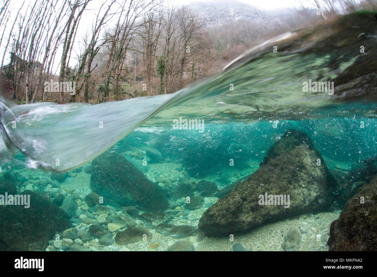 Underwater landscape, in mid-air photo mid-water, in the clear waters ...