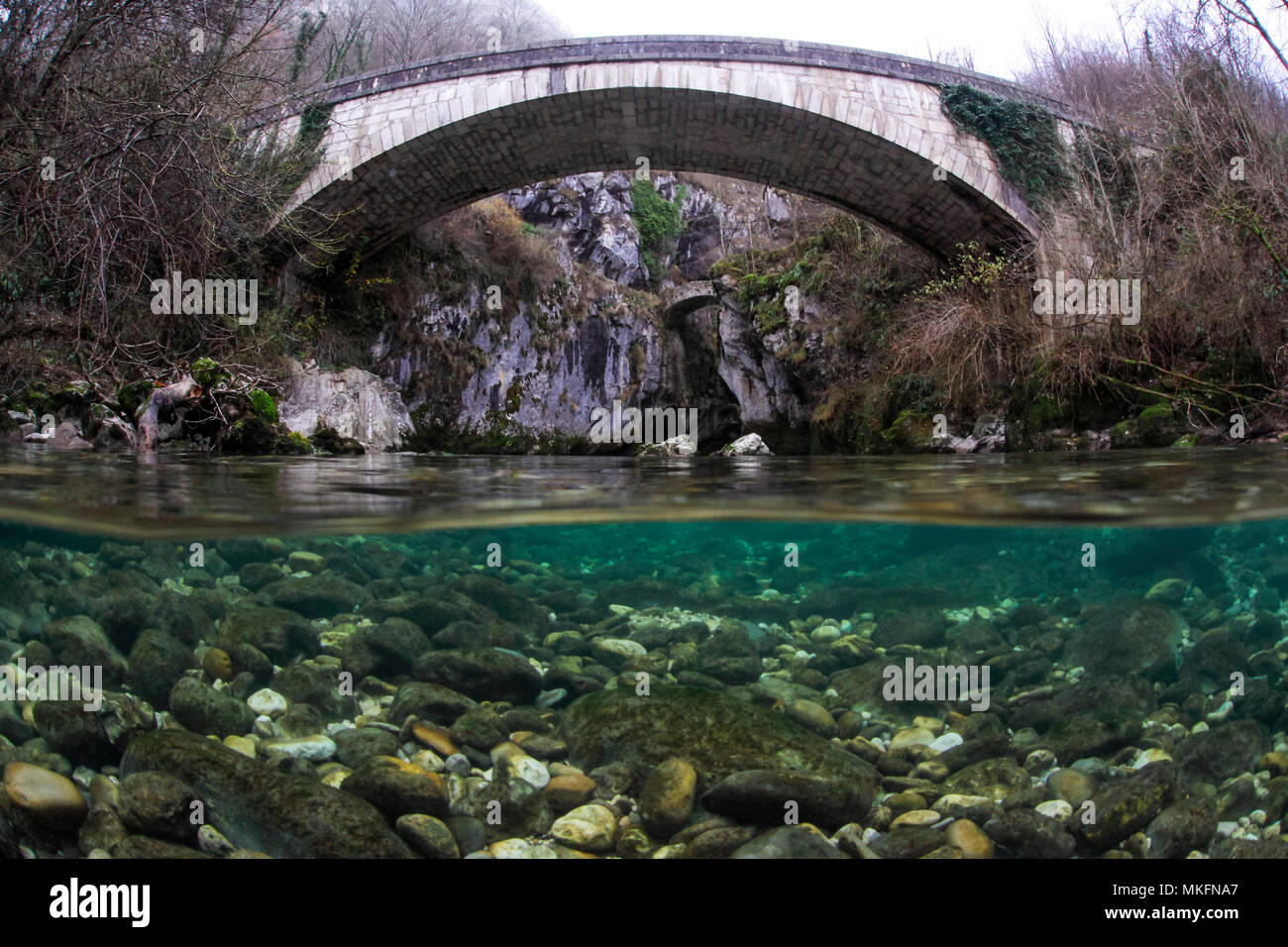 Underwater landscape, in mid-air photo mid-water, in the clear waters ...