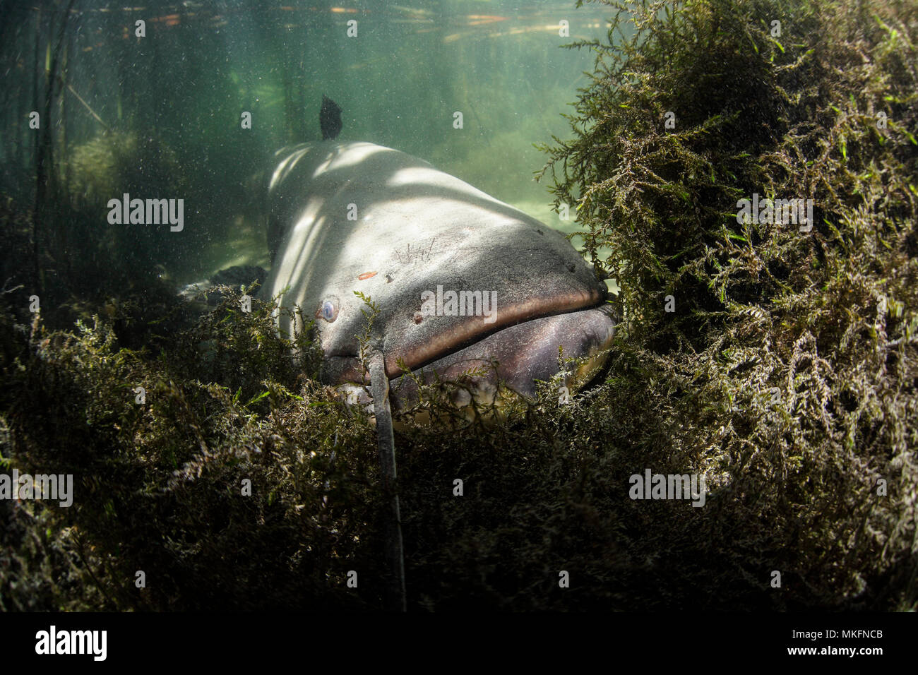 1 80 m hi-res stock photography and images - Alamy