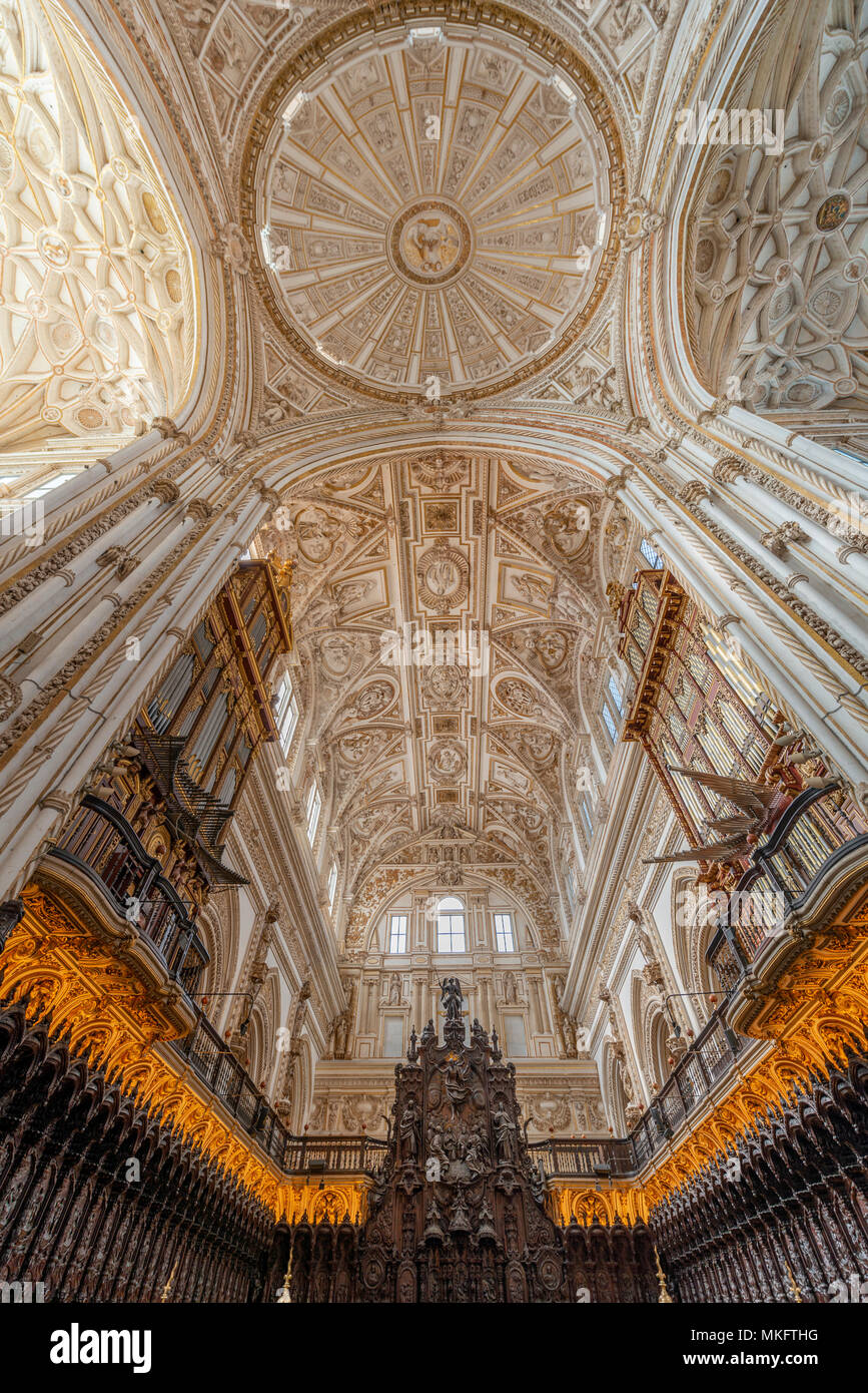 Choir stall vaulted ceiling hi-res stock photography and images - Alamy