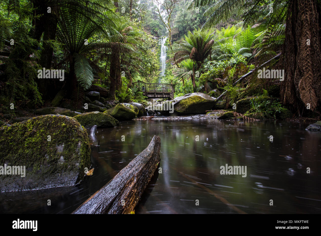 Erskine Falls Lorne Melbourne Australia Great Ocean Road serene ...