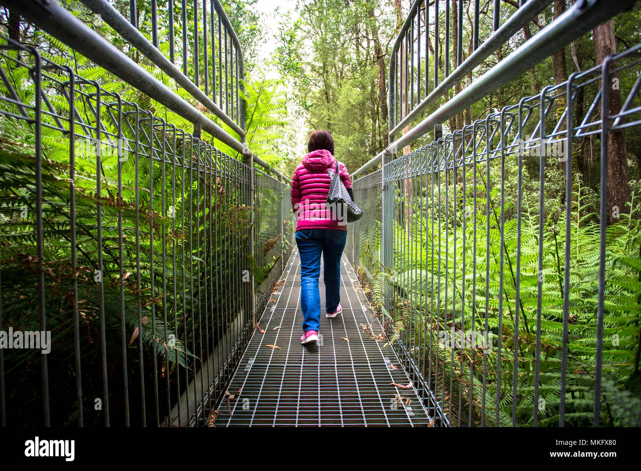 Otway Fly Treetop Adventures treetop walk Melbourne Australia Great ...