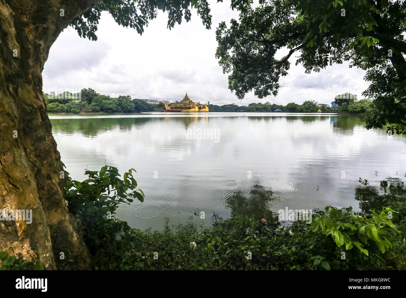 Kandawgyi Lake Also known as Royal Lake in Yangon Myanmar Burma Asia ...