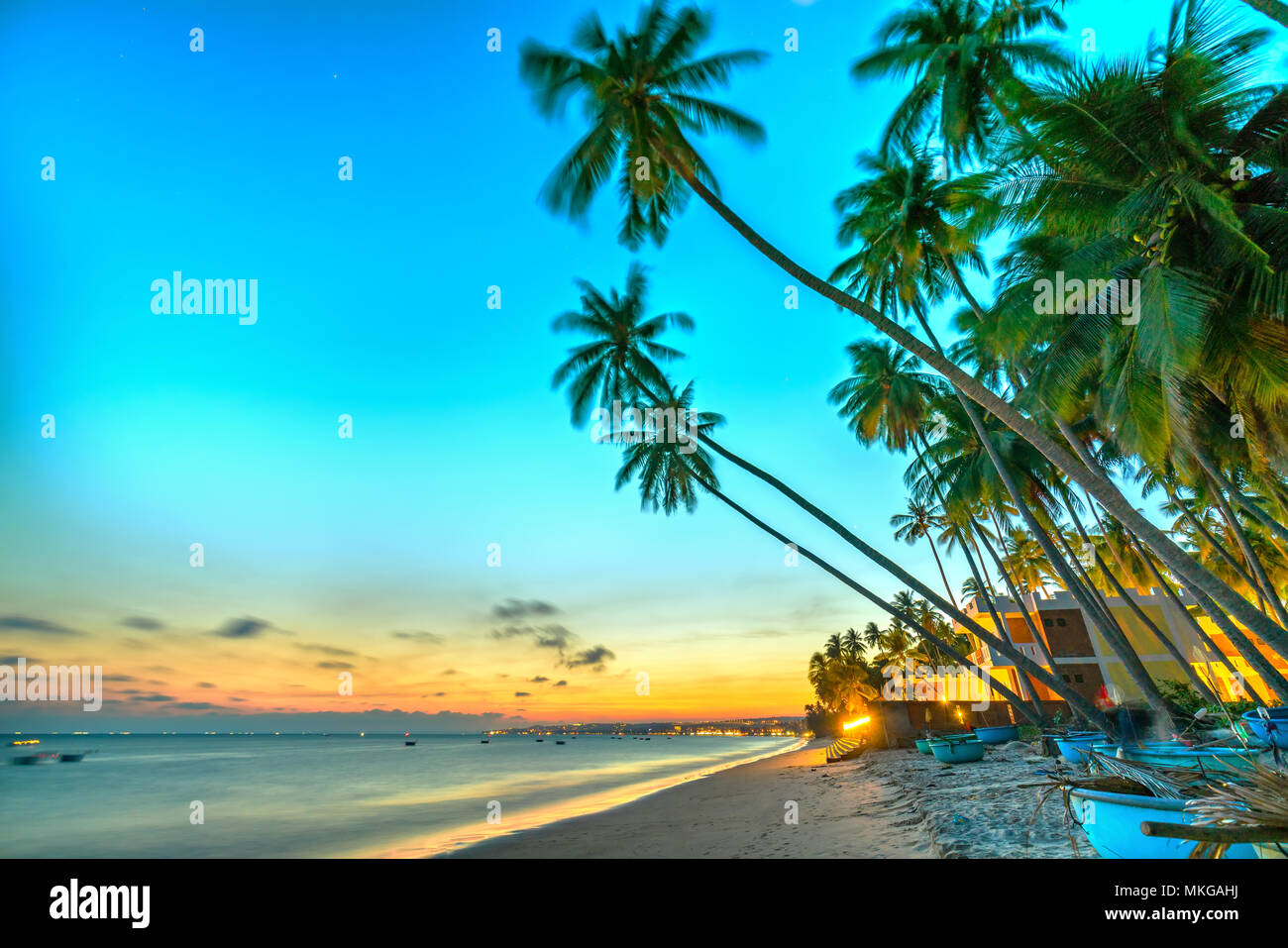 Coconut Trees Beach Sunset