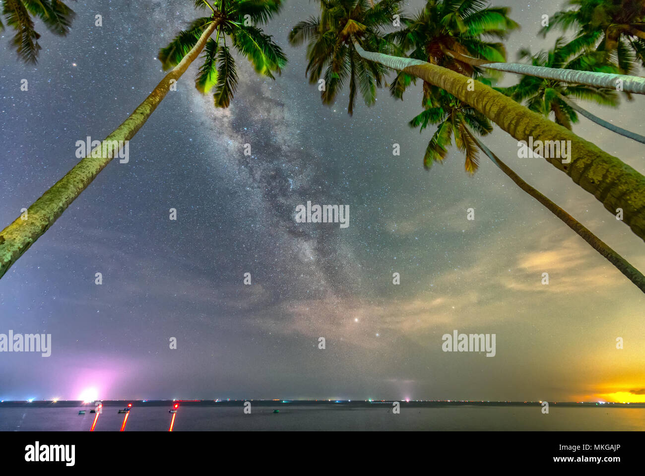 Midnight landscape with coconut palm tree Silhouette and Milky Way in ...