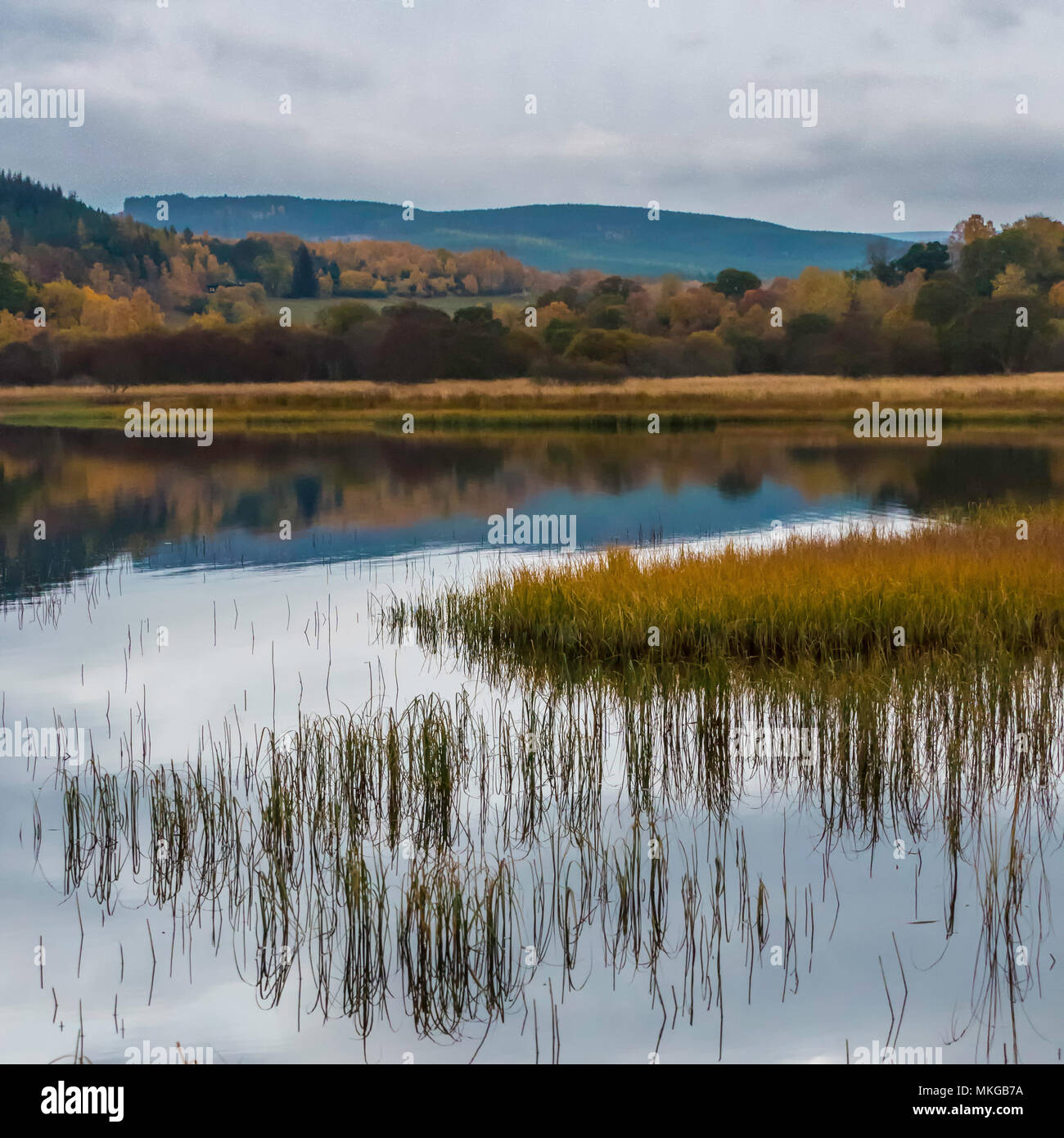 Scottish highlands autumn colour hi-res stock photography and images ...
