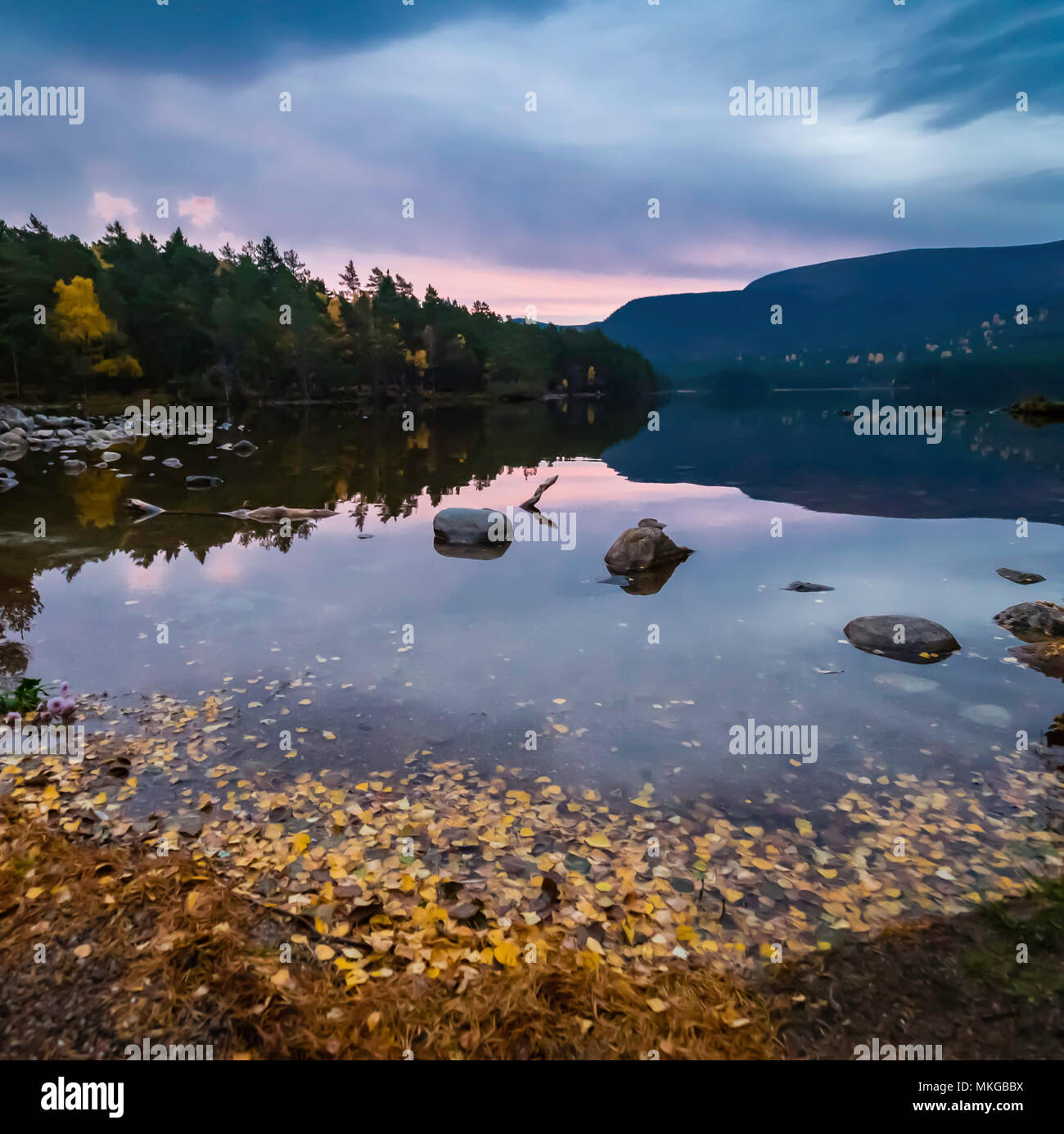 Edge of lake highlands hi-res stock photography and images - Alamy