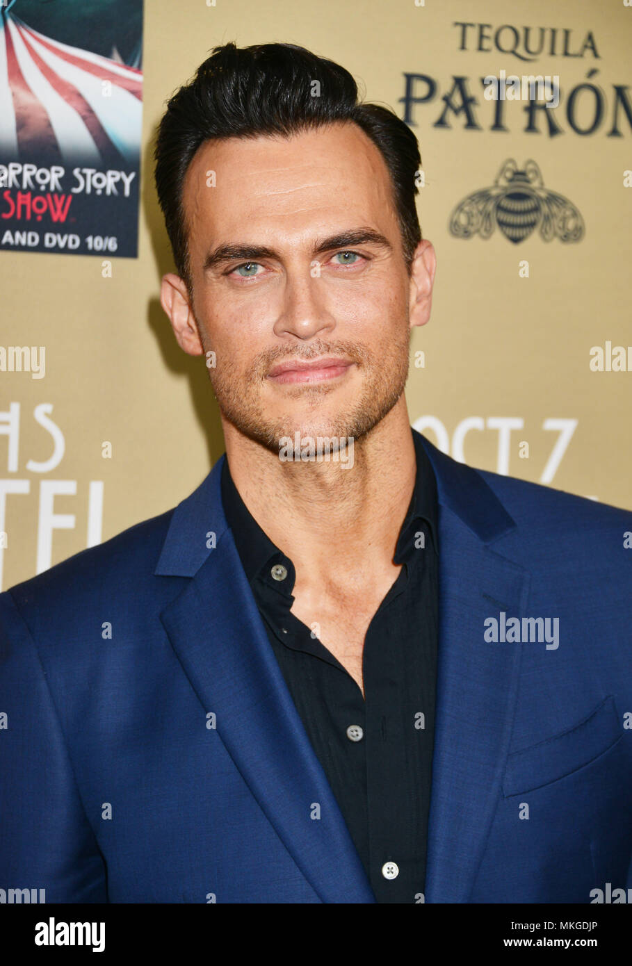 Cheyenne Jackson at the premiere screening of American Horror Story ...