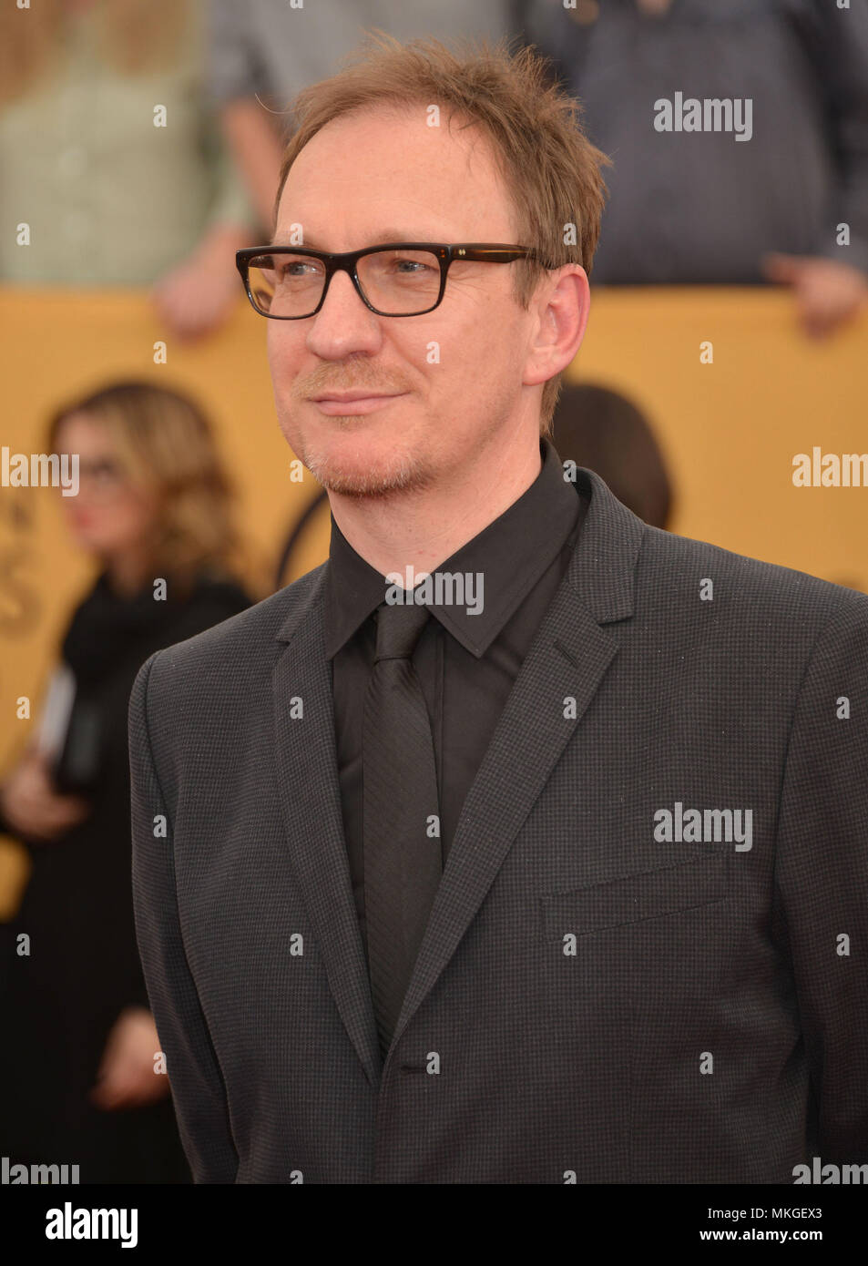 David Thewlis at the 21Th SAG Awards 2015 at the Shrine Auditorium in ...
