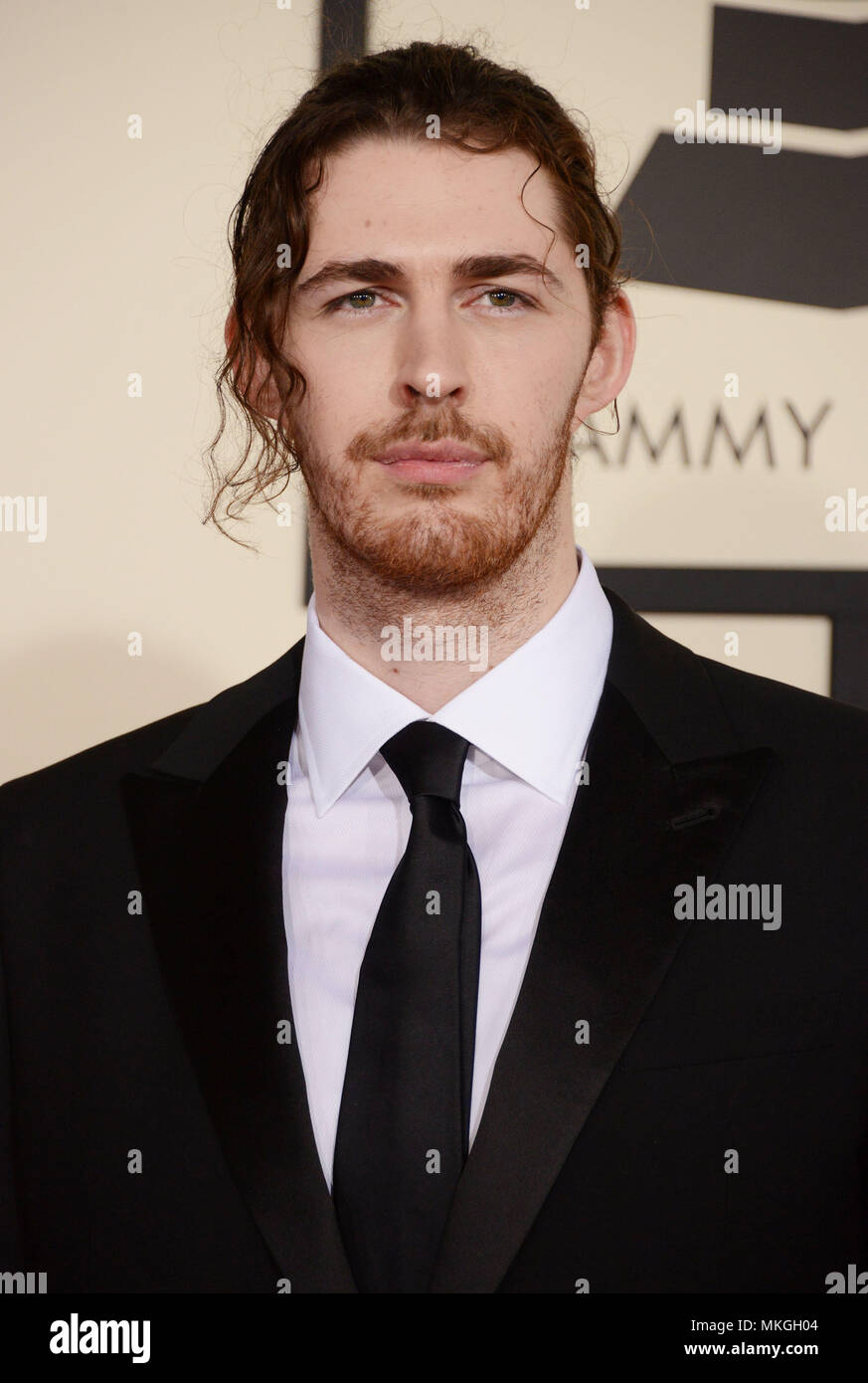 Hozier 410 at the 57th Annual GRAMMY Awards at the Staples Center in ...