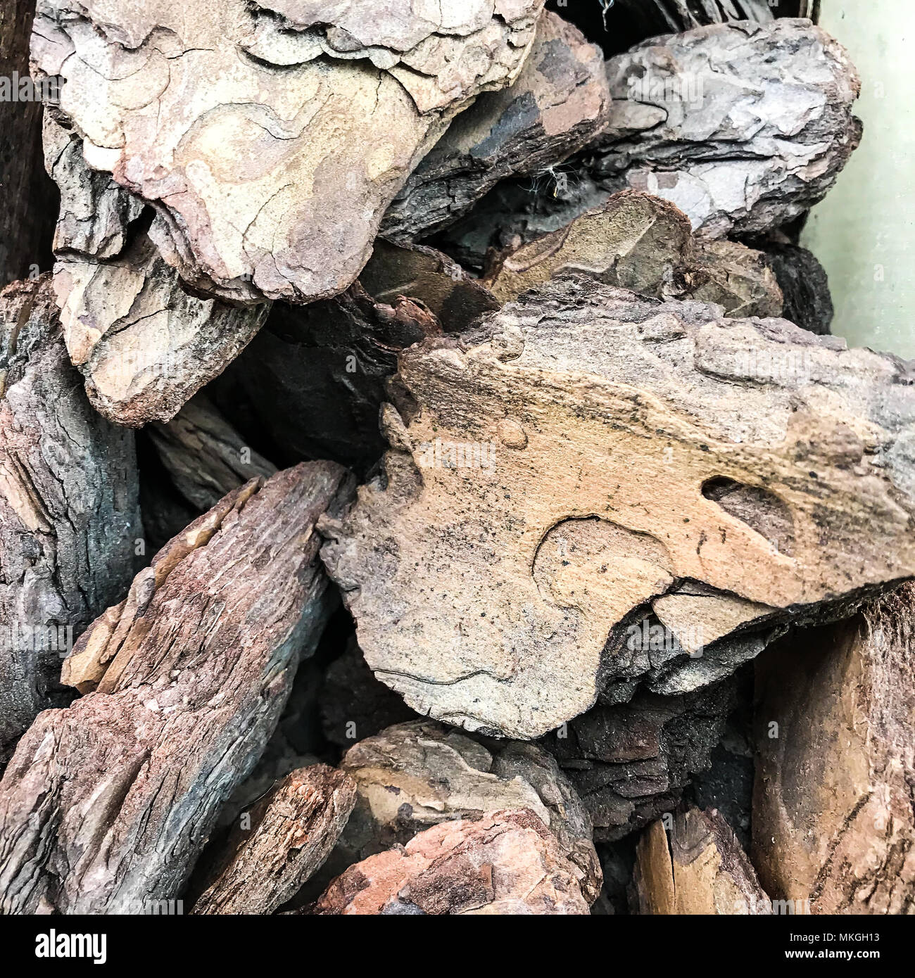 Decorative chips from bark of tree Stock Photo - Alamy