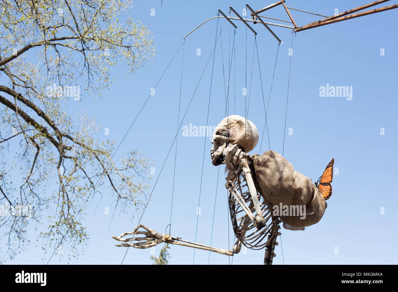A giant skeleton puppet welcomes spring at the May Day festival in ...