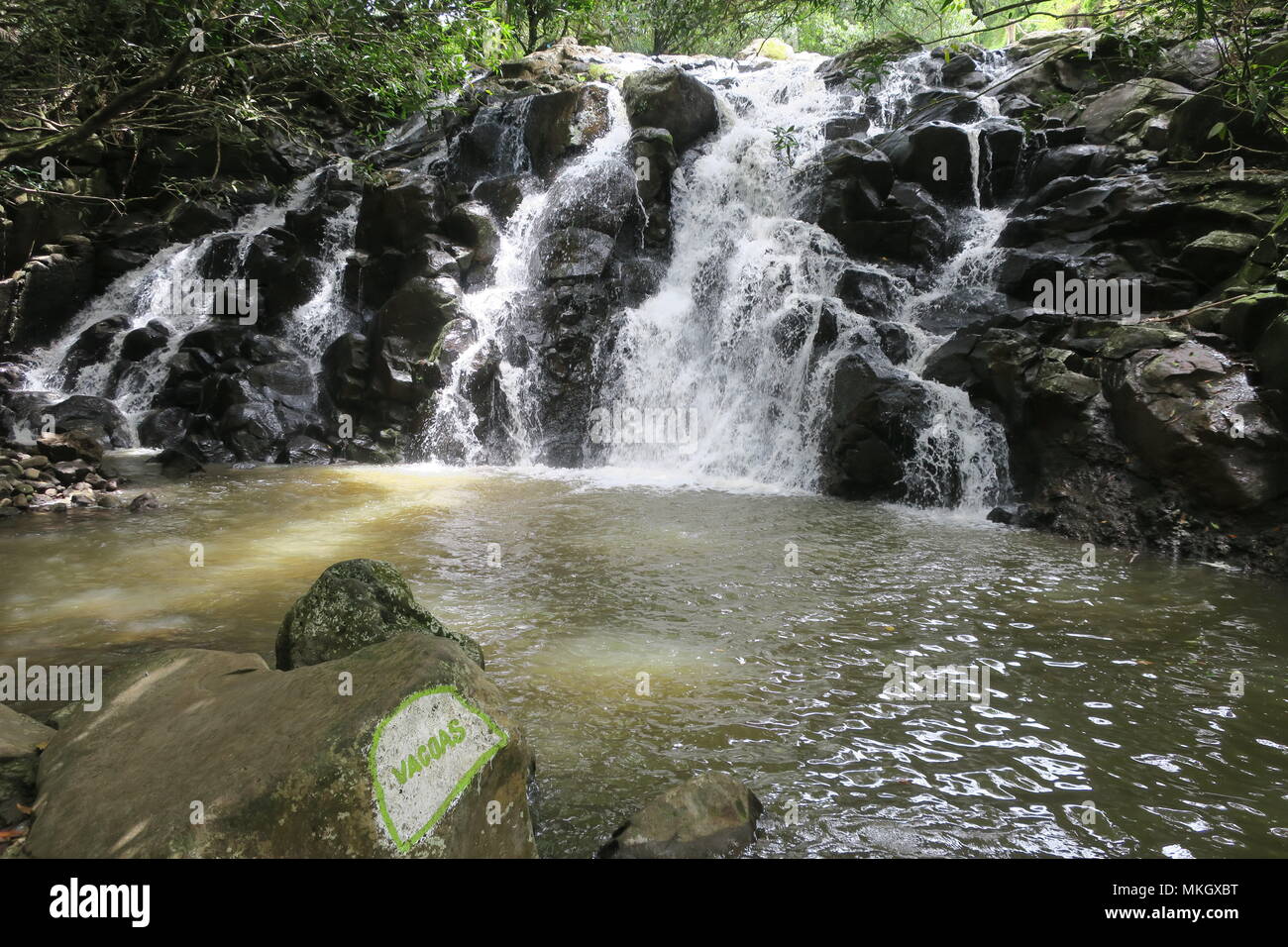 Greenery vegetation near waterfall cascade hi-res stock photography and ...