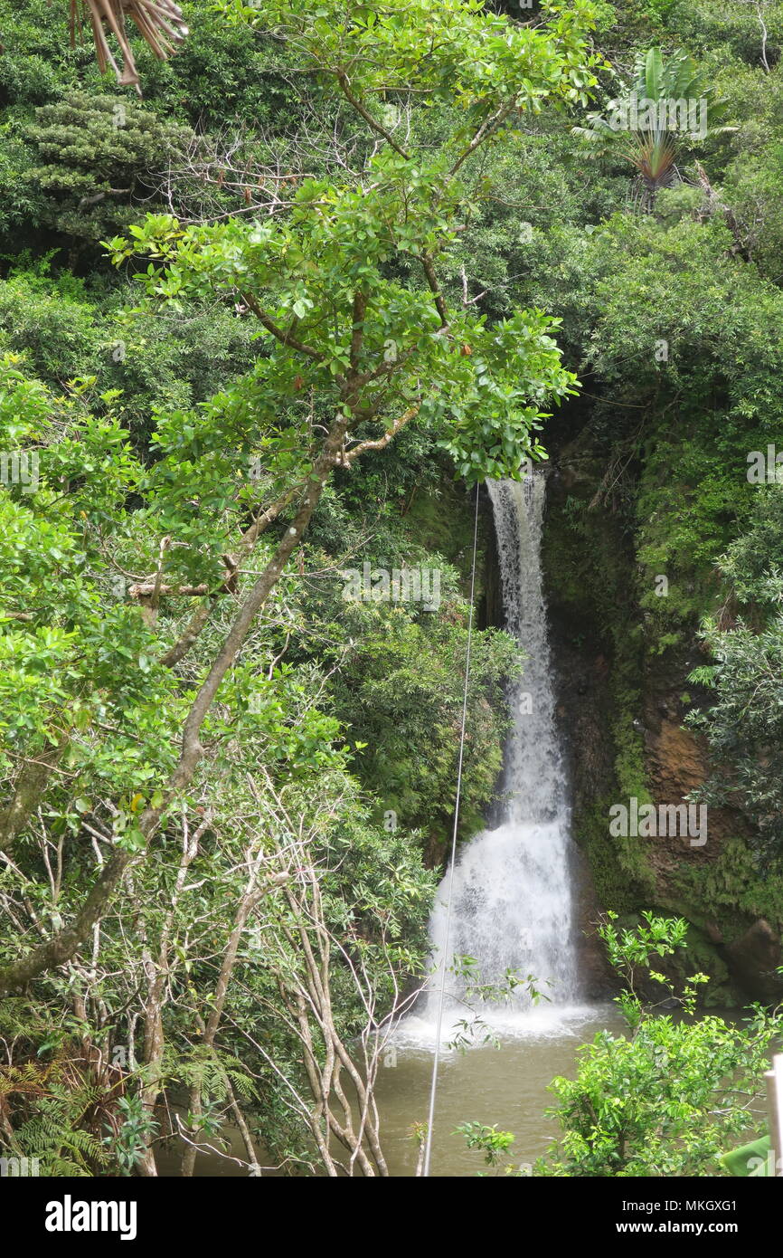 Interesting waterfall in Chamarel plain on Mauritius island Stock Photo ...