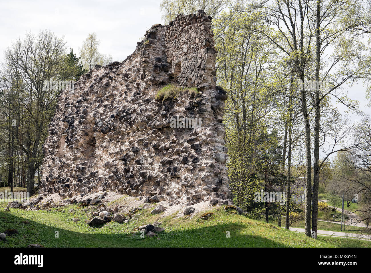 old castle ruins in Rauna - Latvia Stock Photo - Alamy
