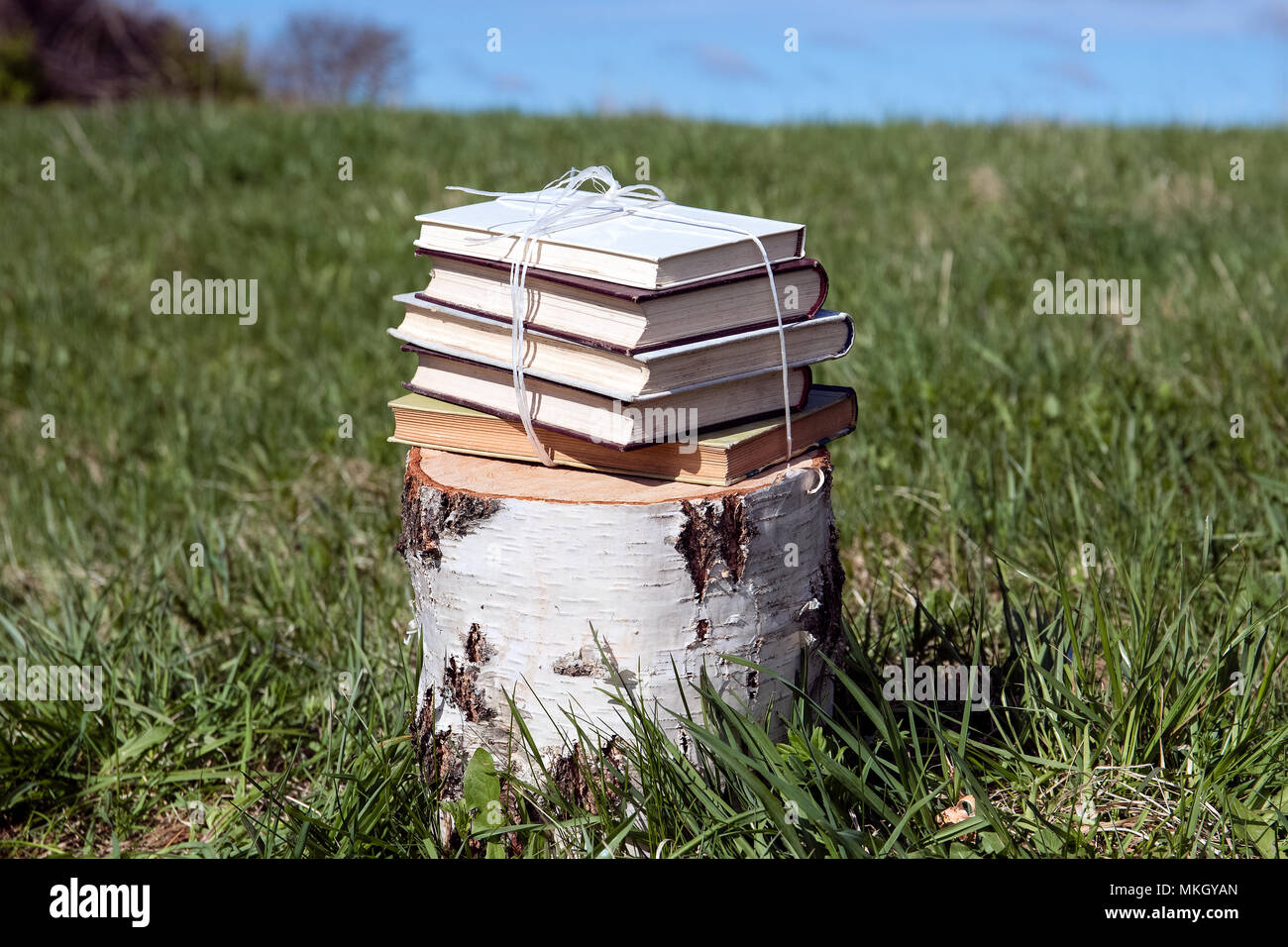 Stack of books, sunny rural landscape and blue sky. Abstract background ...
