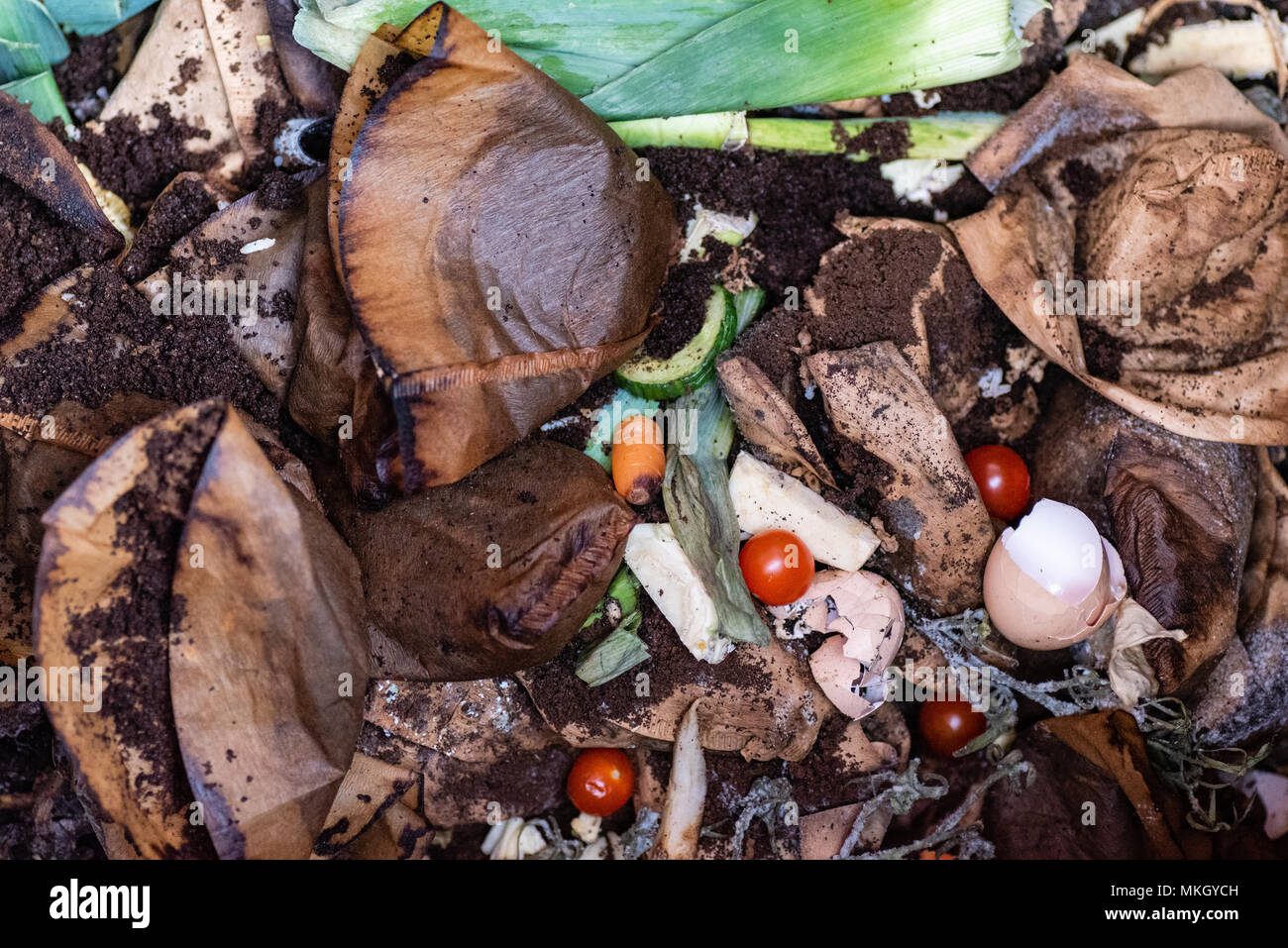 photo over a compost with leek tomatoes and coffee filters Stock Photo ...